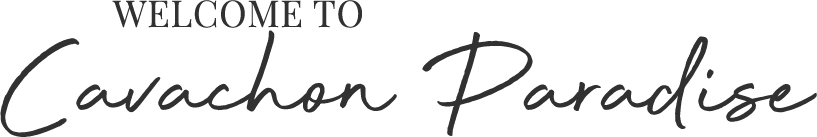 Home New - Designer Mountain Mutts